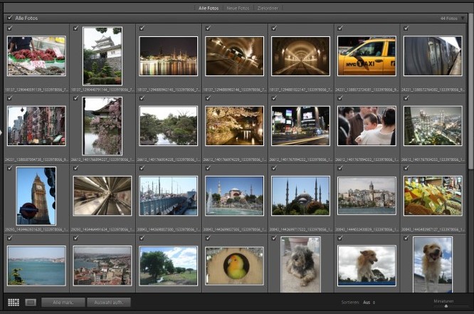 How Digital Catalog Software Can Help You Get Life Organized